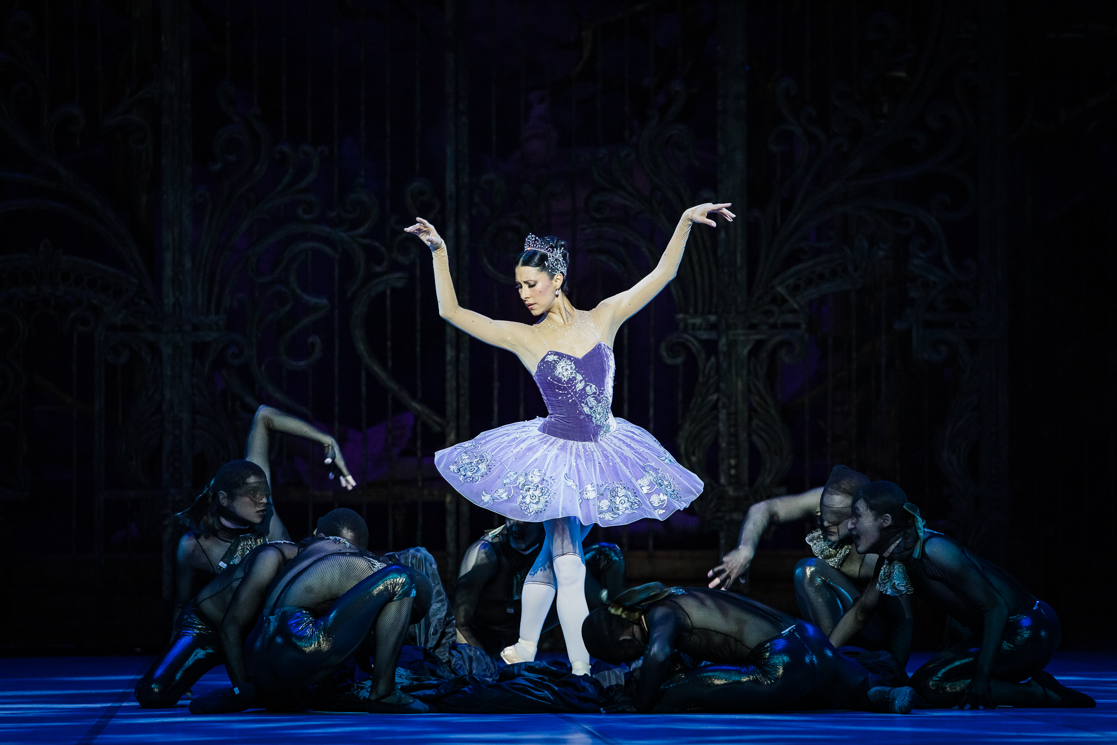 Pressebilder - Staatsballett Berlin